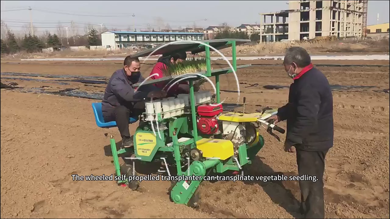 Machine de Plantation Agricole Multi-rangs pour Semis de Légumes et Gr ...
